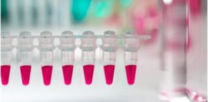 What to Do When Designing QPCR Primers?